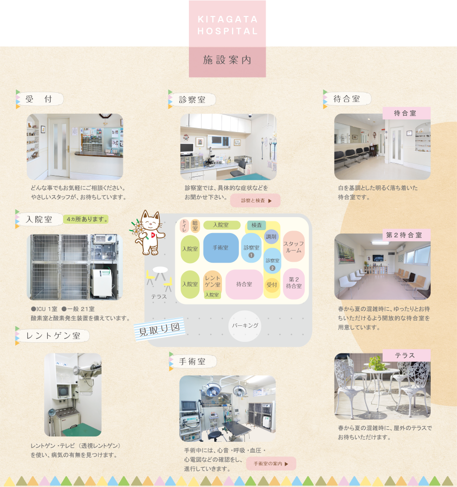 施設案内｜北方動物病院
