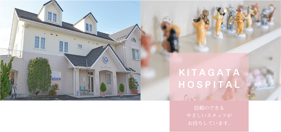 北方動物病院 - KITAGATA Animal Hospital